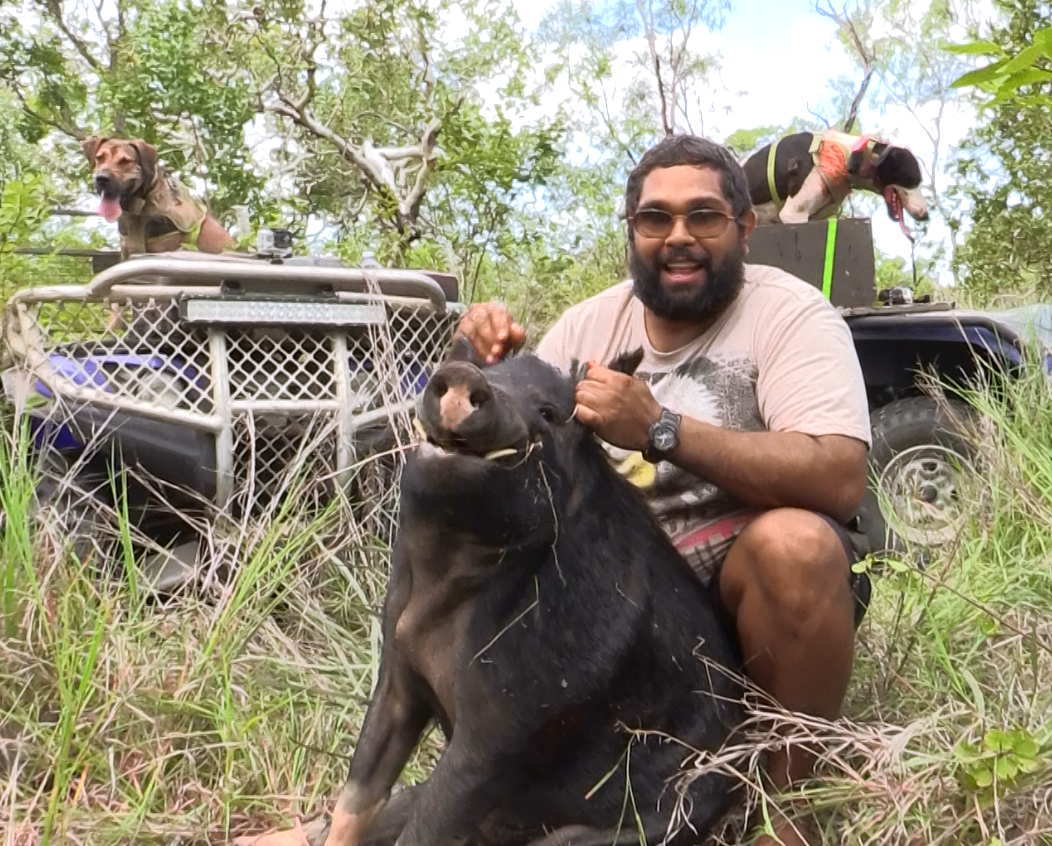 Australia Day Hunt 2015 - Hogs Dogs & Quads